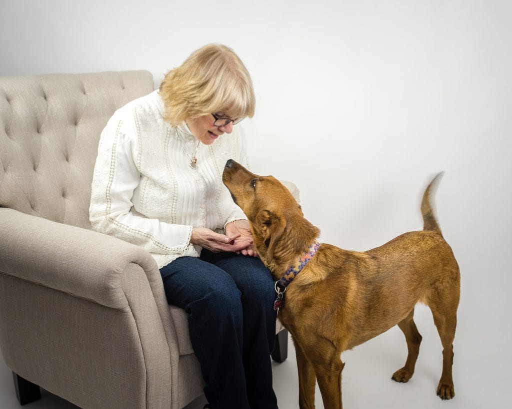 Animal Communication: The Basics (Level 1) Online Course - Animal ...